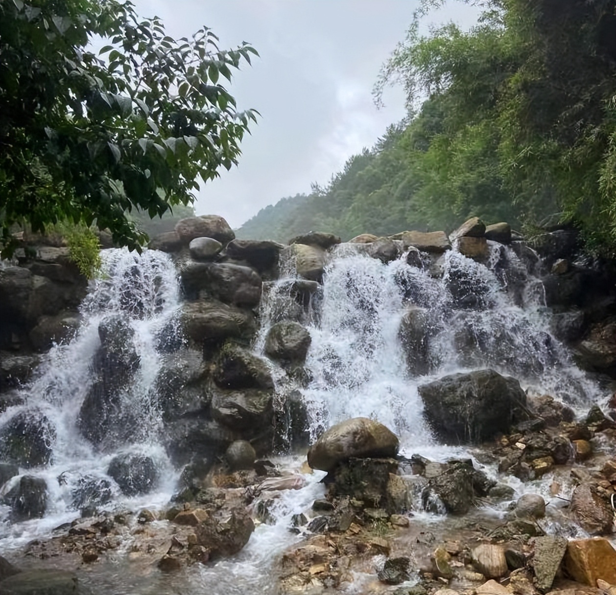 The stream is ding dong, the trees are lush, and it is an elegant ...