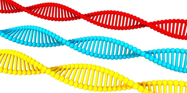 Gene Mutation: Exploring the Mystery of Life Evolution - iNEWS