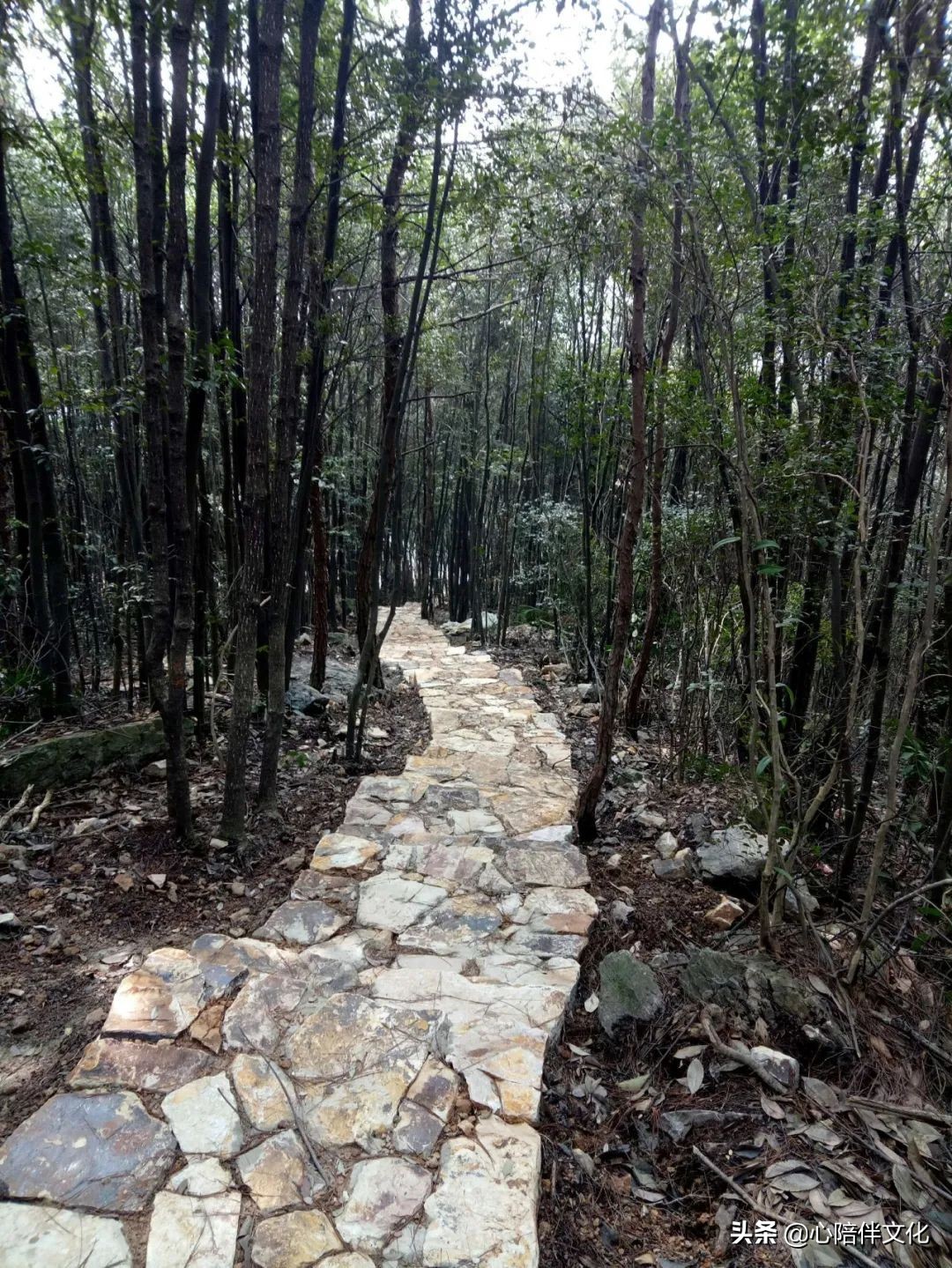 Song Yunwei Mountain: Sun Bang, a writer and poet of the Southern Song ...