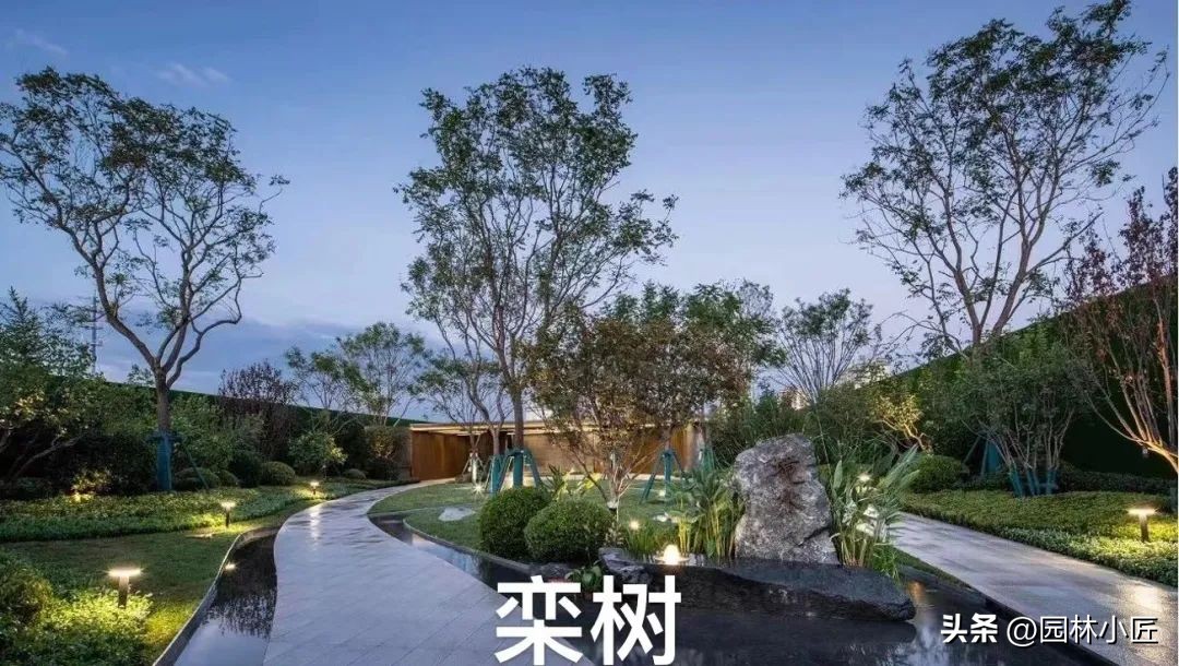 In garden landscape, case sharing of tree array planting effect - iNEWS