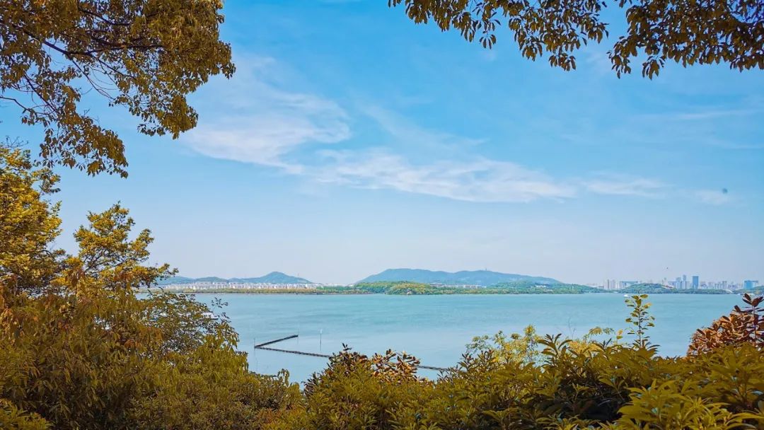 Golden Autumn Gusu City faces Taihu Lake at 180°!Appreciating the lake ...