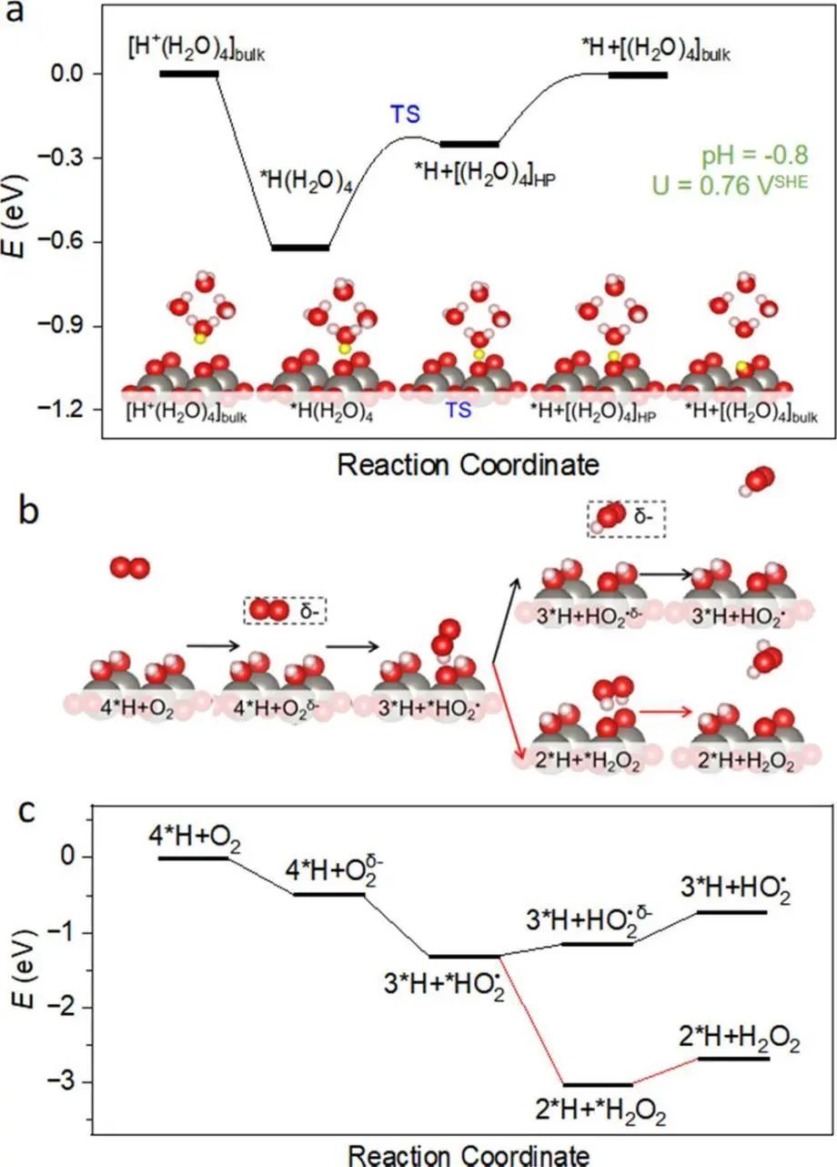 [Pure Computation] ACS Catalysis: Optoelectronic storage at the WO3 ...