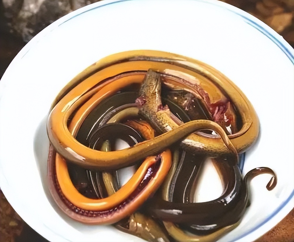 Eating eels may bring 6 benefits to the body, it is recommended to know ...