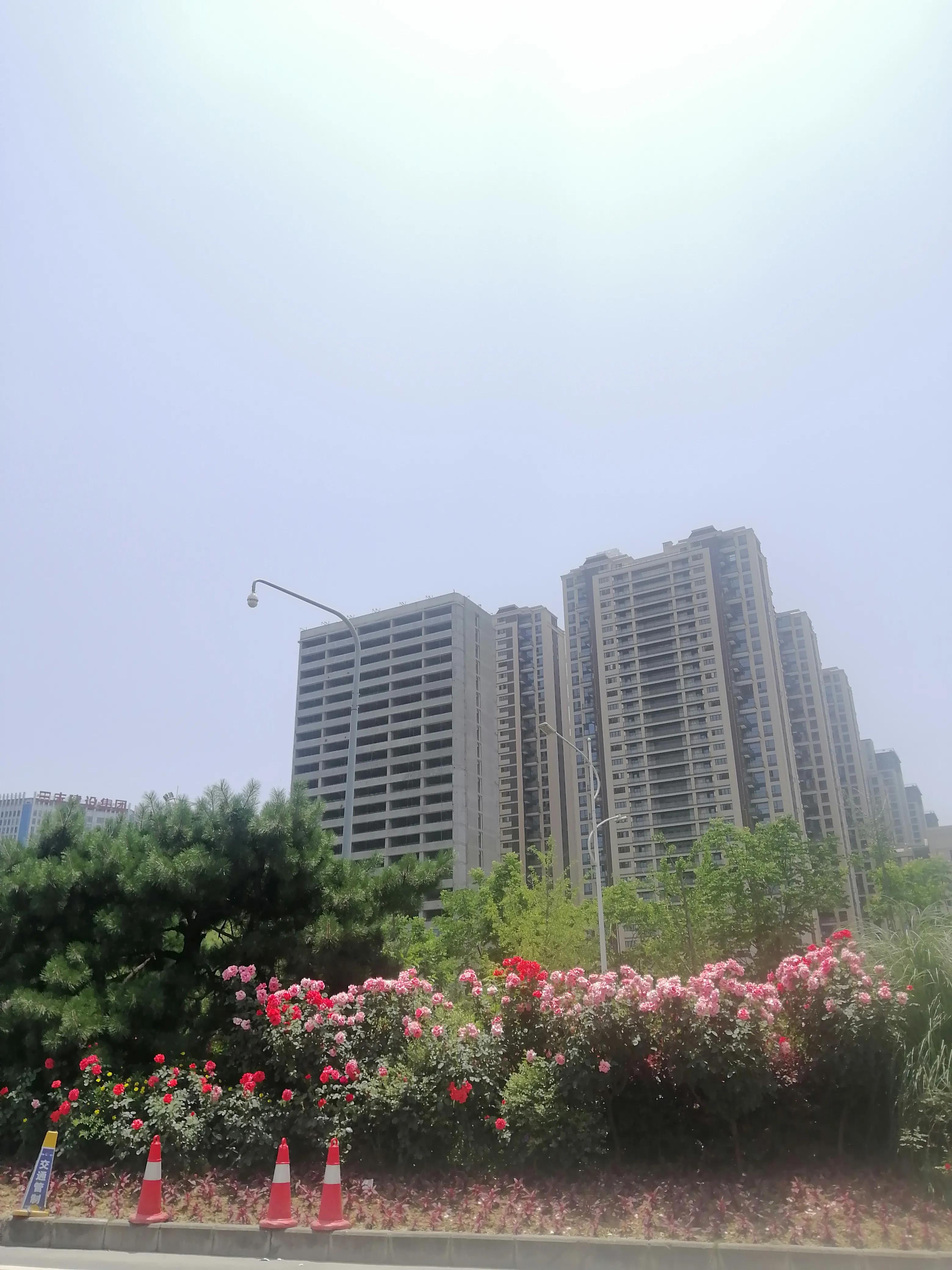 Shingles finally healed - iNEWS