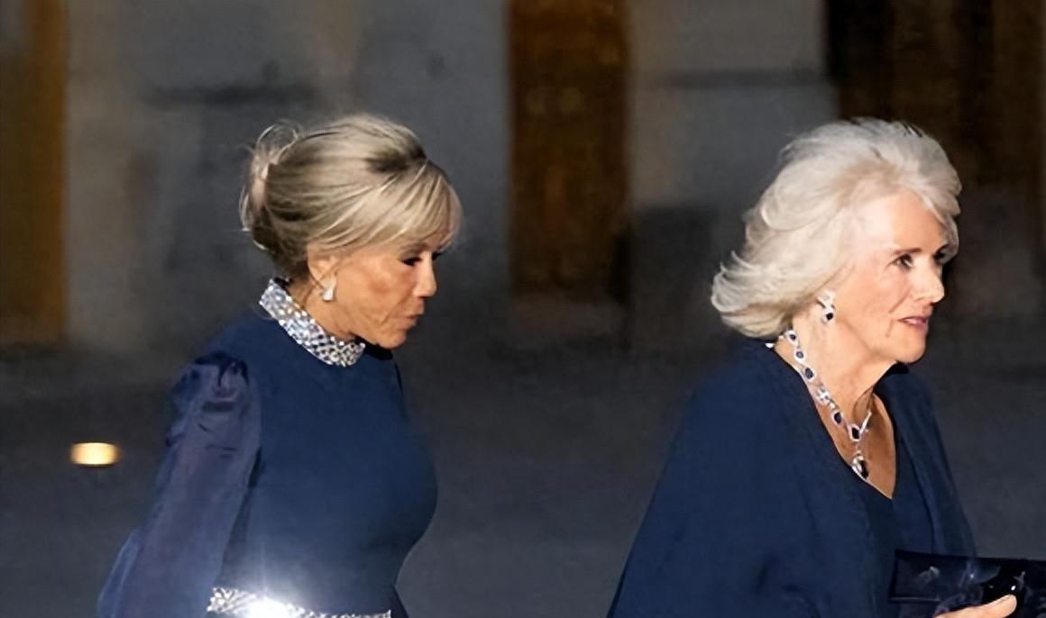 Queen Camilla's gaffe instantly triggered ridicule across the Internet ...