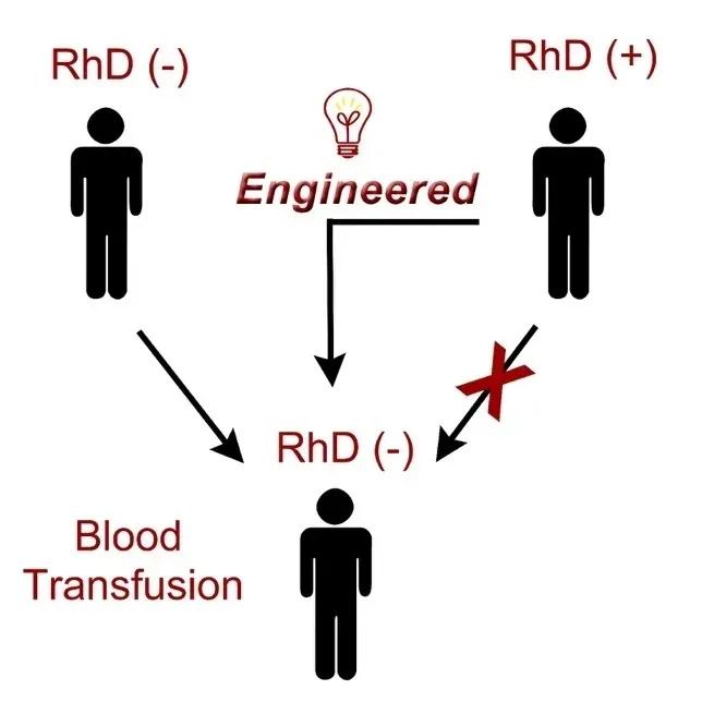 "Panda blood" is expected to be mass-produced, why do you need to ...