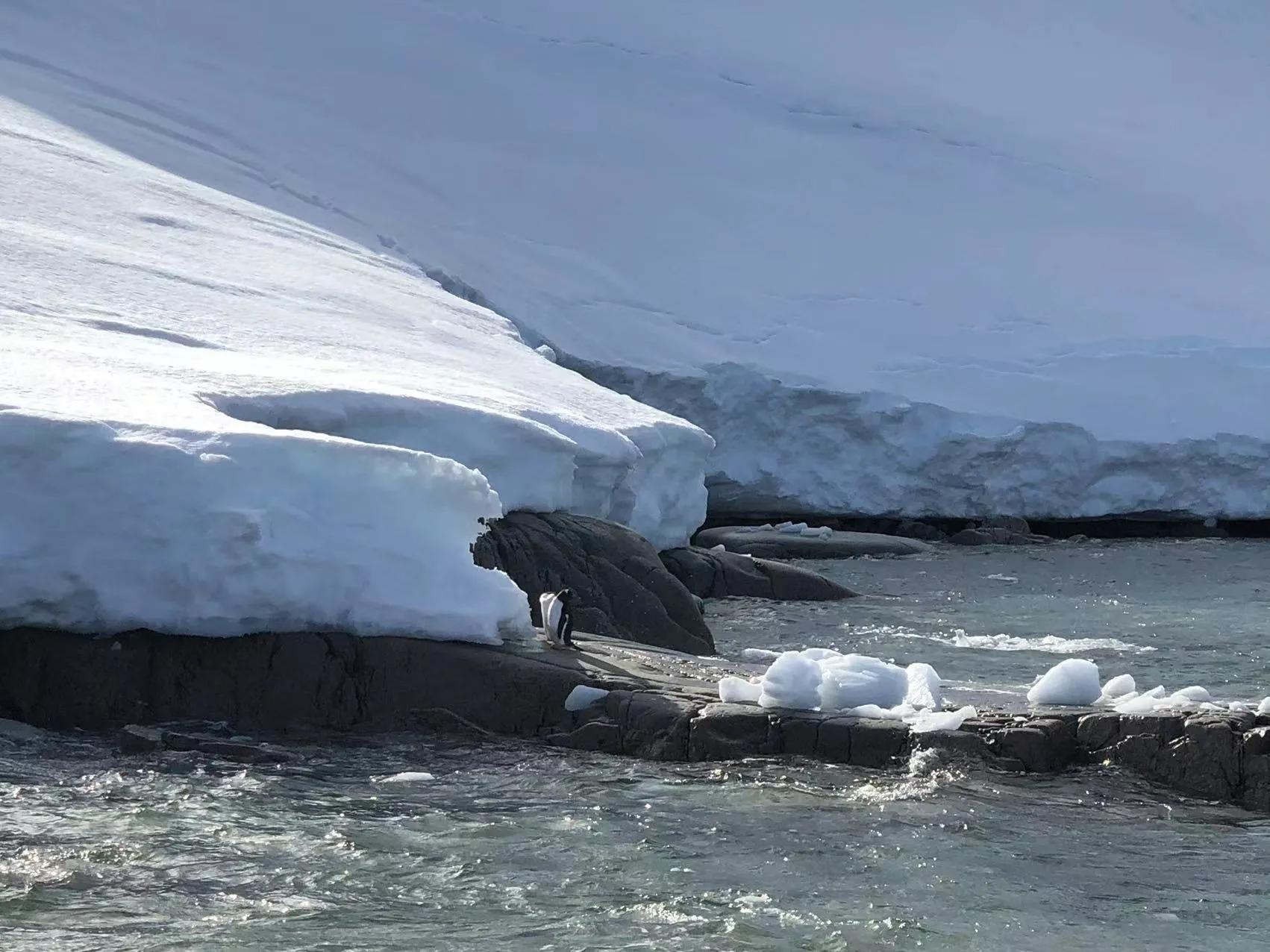 Zhou Guoping's Antarctic Journey - iNEWS
