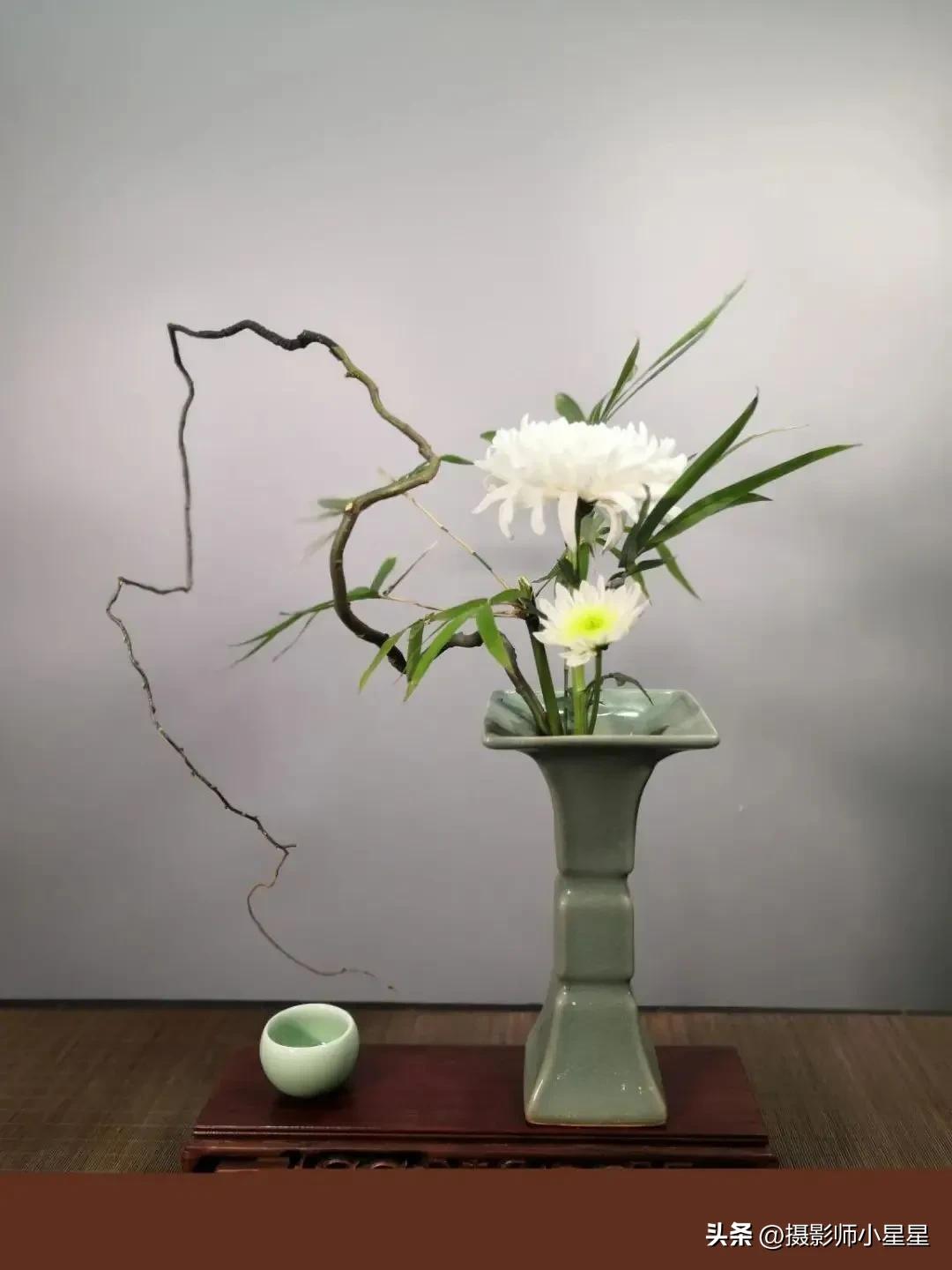 Zen flower arrangement photography: unique Chinese aesthetics, self ...