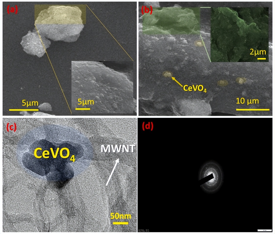 Bifunctional 3D-CeVO4/MWNT hybrid nanocomposites as high-performance ...