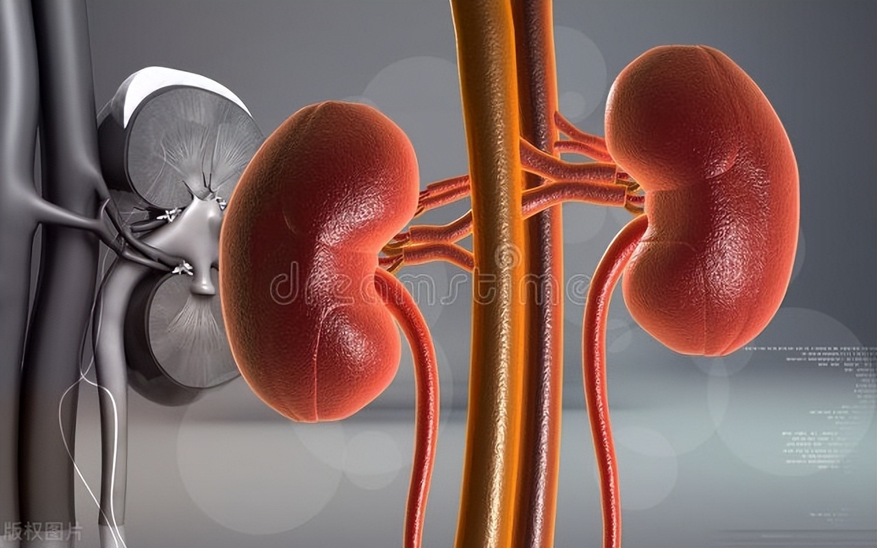 If you have the following 6 situations, it means that your kidney ...