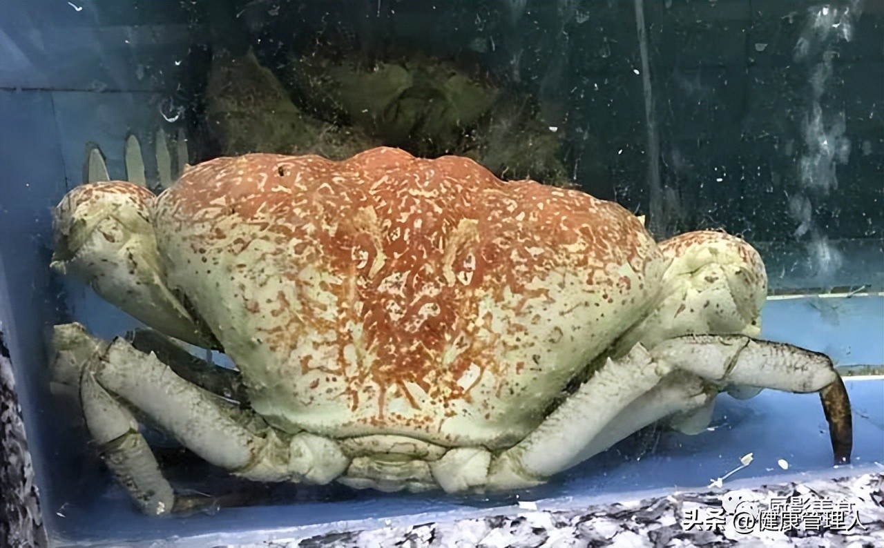 The world's top seafood (three, crab) - iNEWS