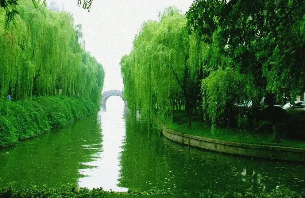 Lixia Festival, summer is coming - iNEWS