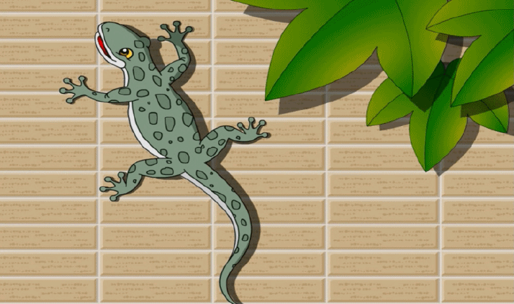 Why is the harmless gecko one of the "five poisons"?In fact, it is ...