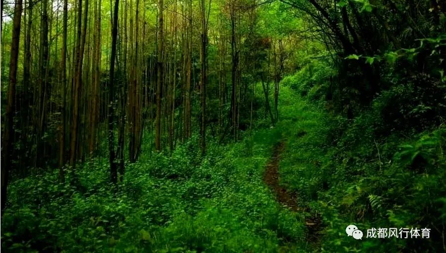 "Shishan Ring Road" will enter Pengzhou Wild Trail on October 15th - iNEWS