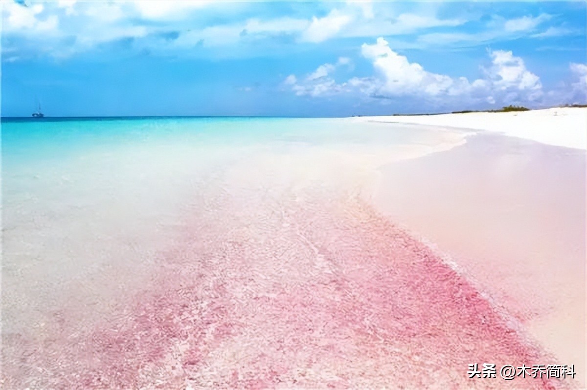 The movie "Little Fly": the shaping of the storyline and characters ...