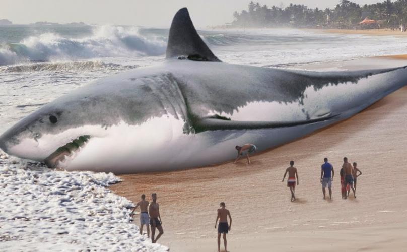 Jason Statham Action Thriller! The giant tooth shark that has been ...