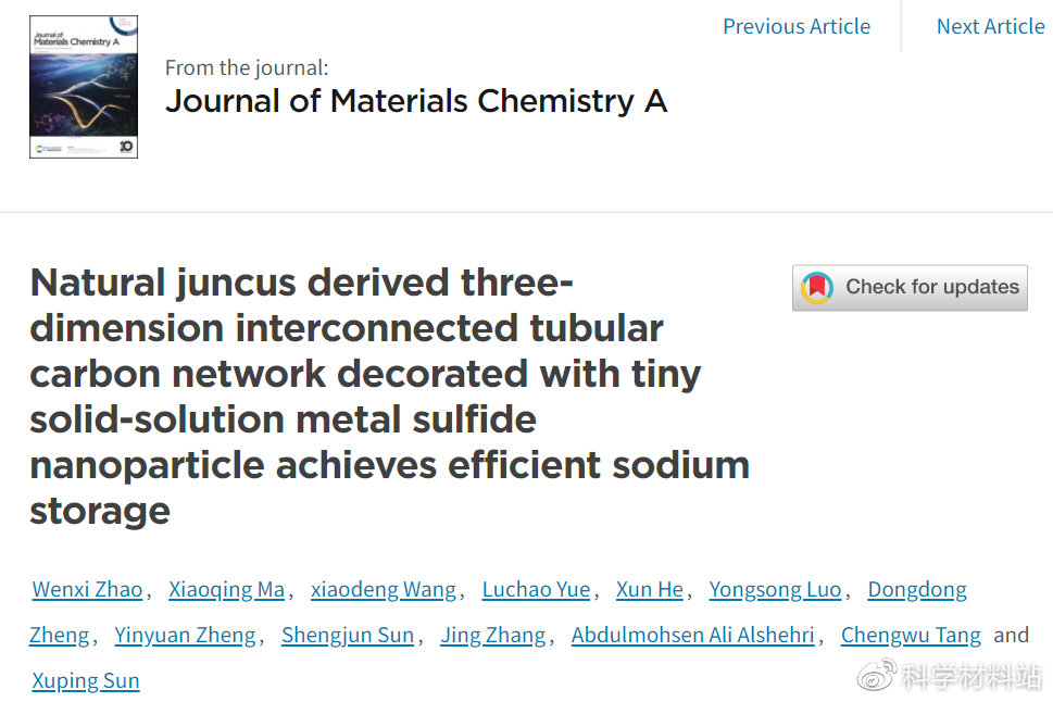 Modified biomass-derived three-dimensional interconnected tubular ...