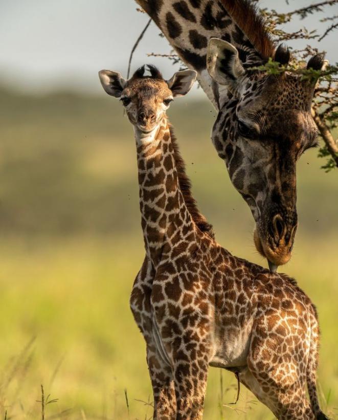 Vietnamese policewoman fighting training photos, London women's self ...