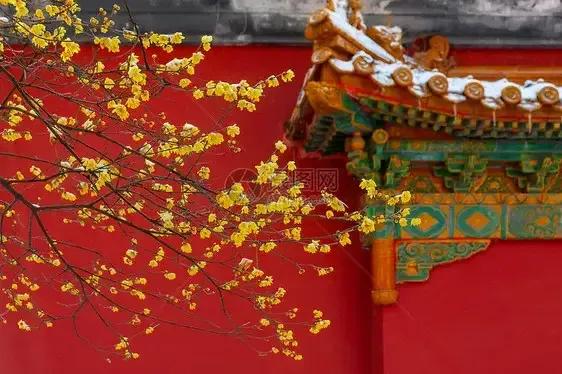 The Mystery of the Imperial Mausoleum (39) Sun Quan, Emperor of the ...