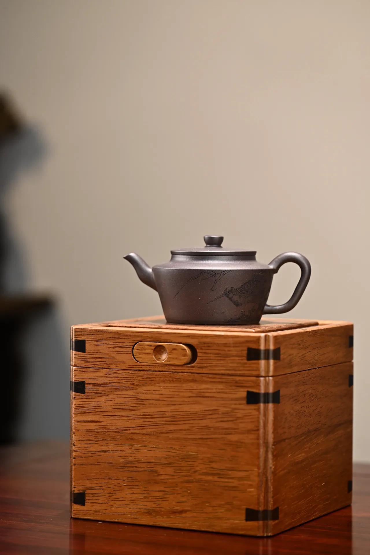 Acacia, Dabin Ruyi, Jade Wall, Brocade Begonia, Lotus Seed Pot - iNEWS