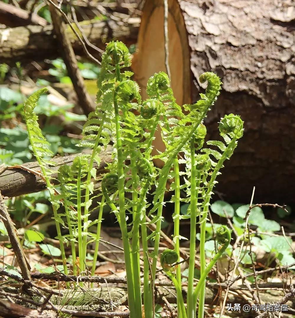 Witnesses to the Vicissitudes of History——Research on the Current ...