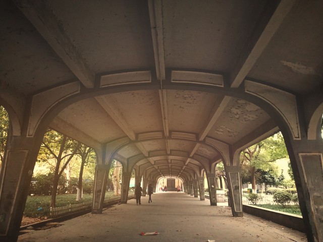 10 poems will be saved from August 1st to 15th, 2023 - iMedia