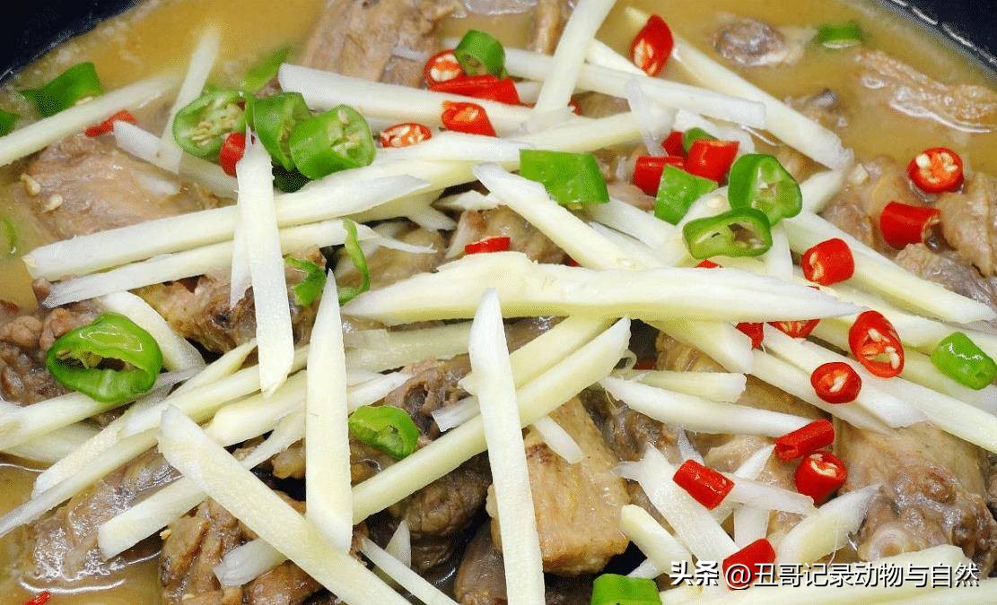 Detailed steps of roast duck with ginger sauce - iNEWS