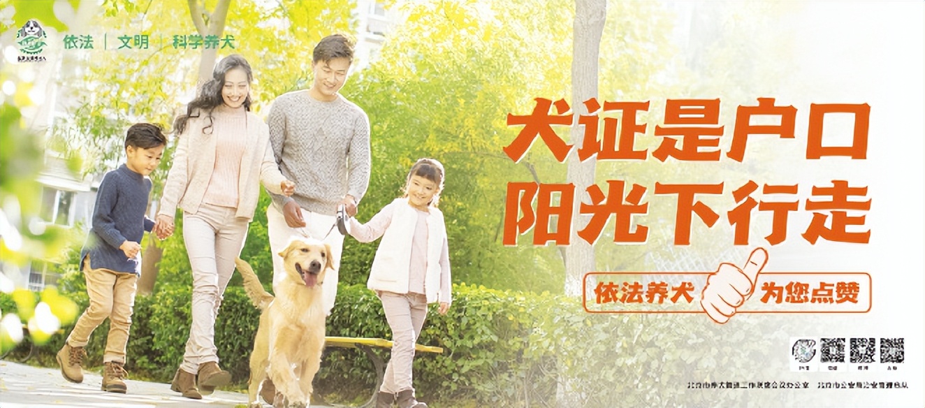 Civilized Dog Breeding: "Dog Certificate Handling": If you love it ...