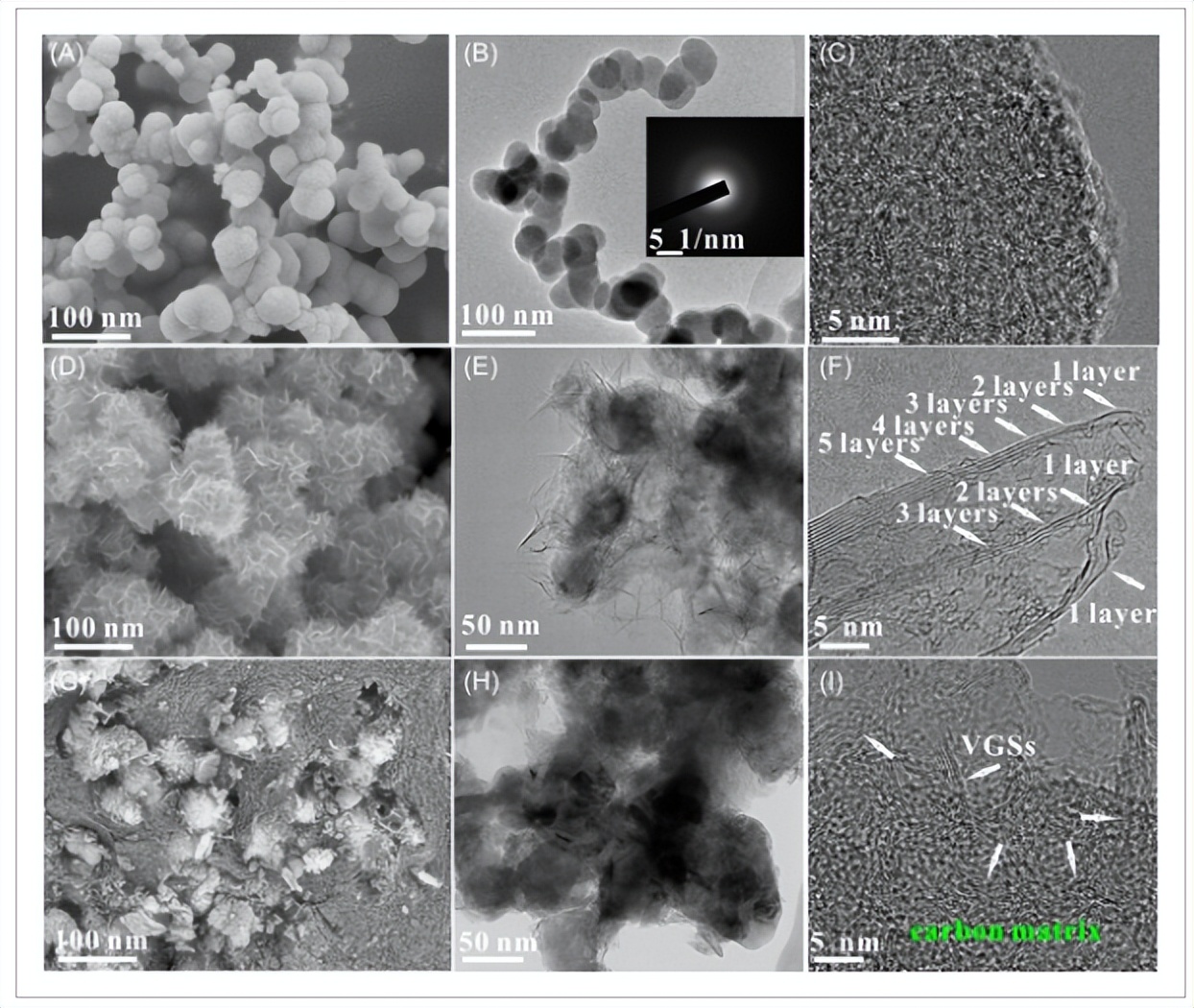 Southern University of Science and Technology Zhao Tianshou ...