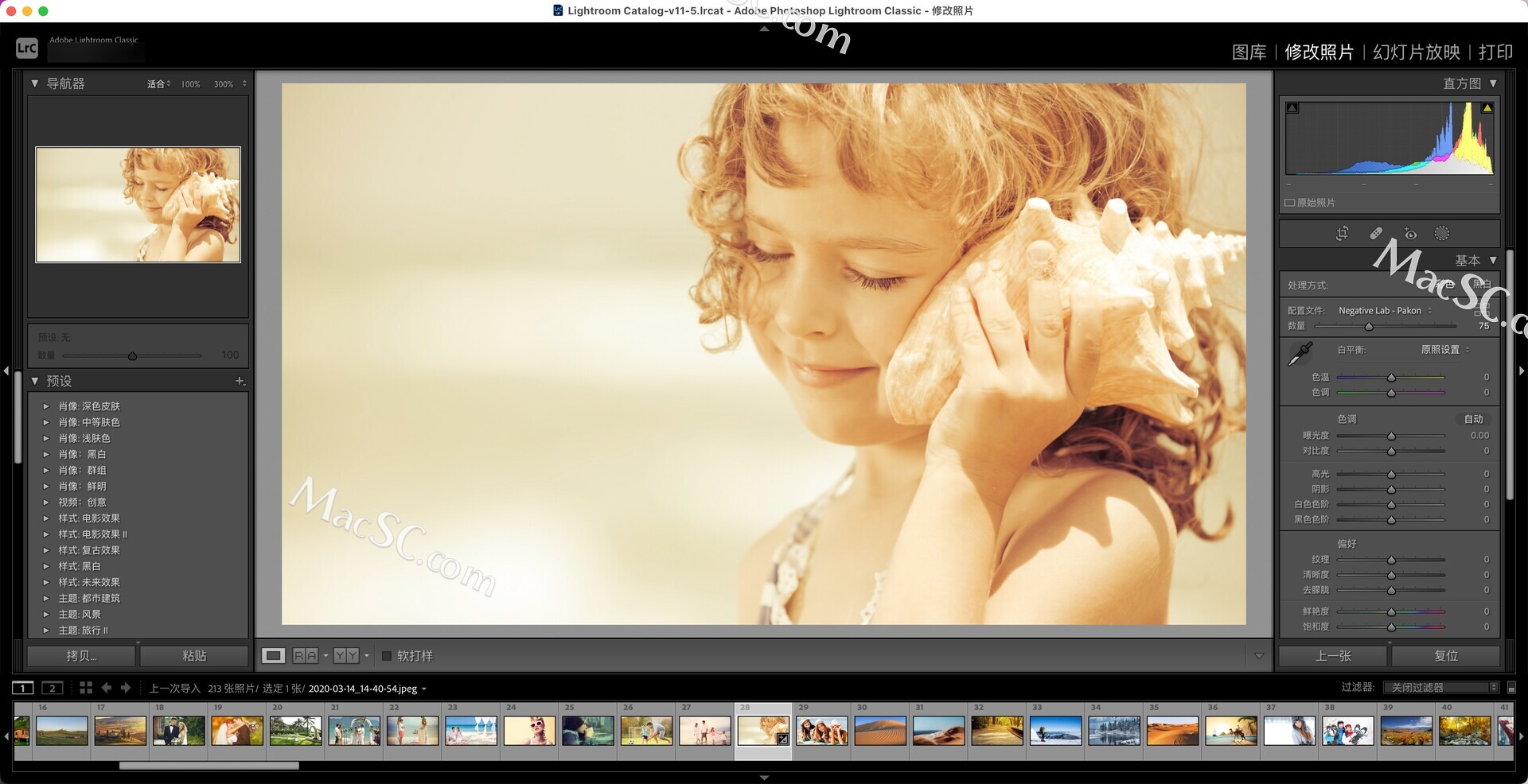 Photo editing software Lightroom Classic 2022 for mac (LRC2022) v11.5 ...