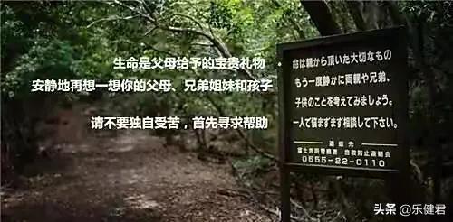 Mount Fuji, a fickle horror "Holy Land" - iNEWS