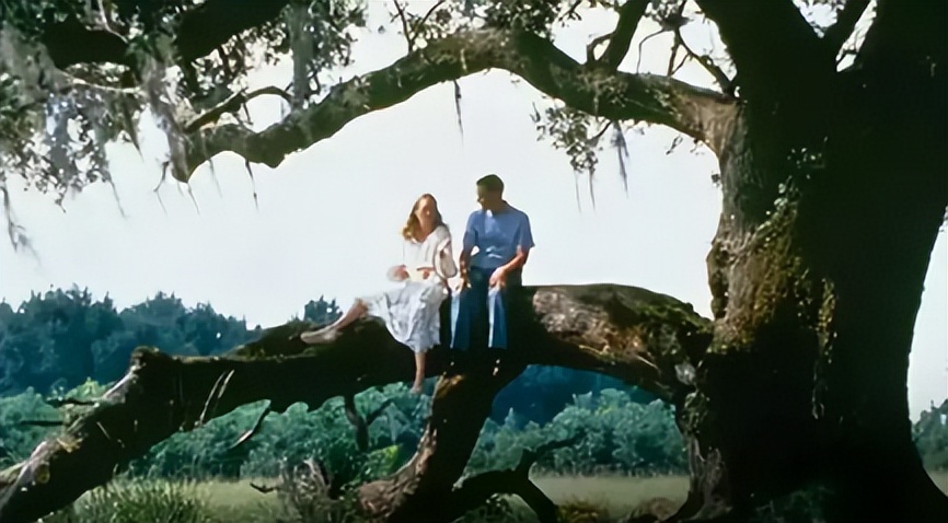 In the movie "Forrest Gump", what kind of thinking does it bring to ...