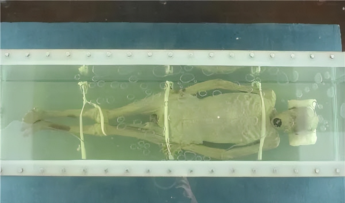 In a small museum, there is actually a collection of "female corpses ...