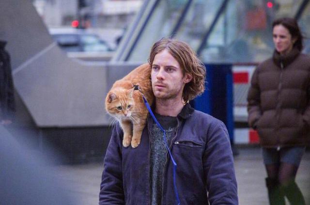 How the movie "Bob the Stray Cat" shows the mutual redemption between ...