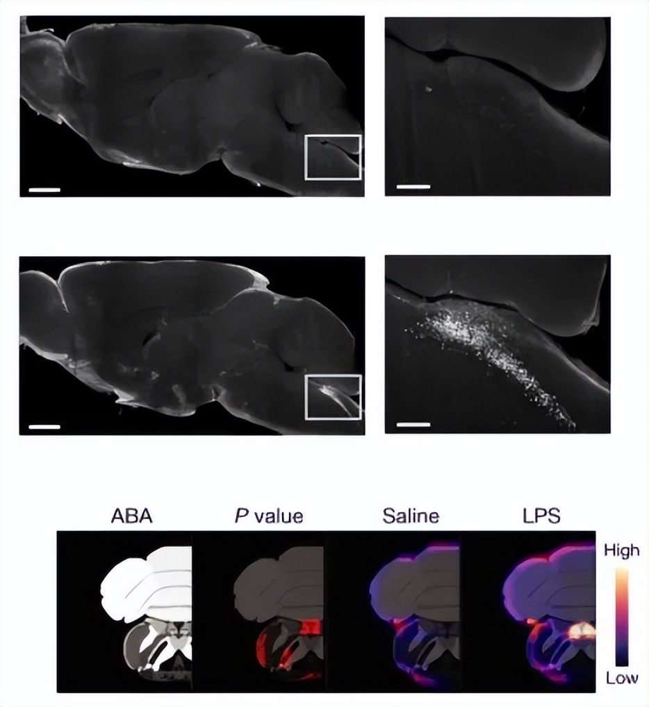 When you are sick, "rotten" is actually to save your life, "Nature ...