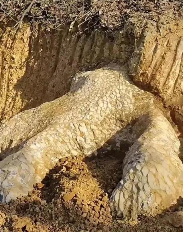 The village of Wugang, Hunan has been on fire recently because a ...