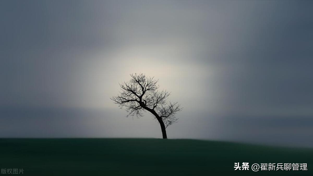 Why do we follow the herd? Because I dare not be a maverick pig! - iNEWS