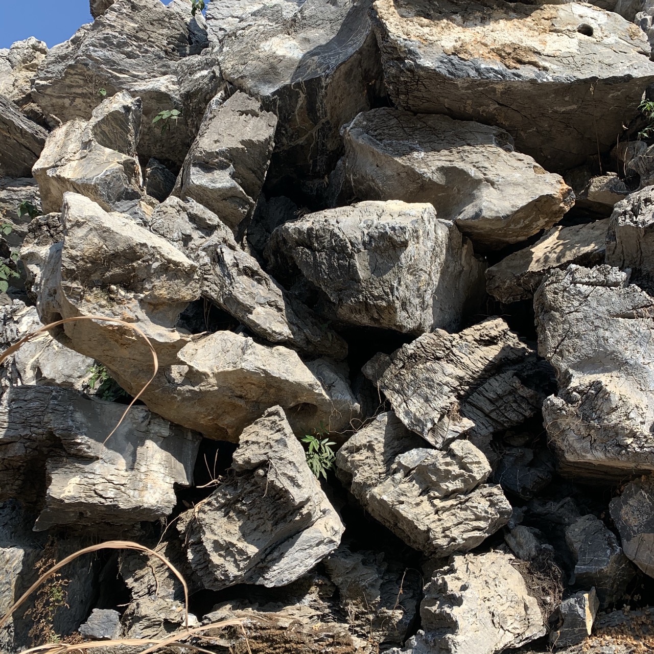Natural diamonds are naturally placed as landscaping stones, making our ...