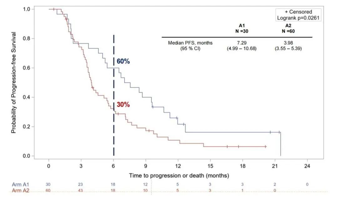 First-line "chemoimmune" regimen for advanced gastric cancer: combined ...