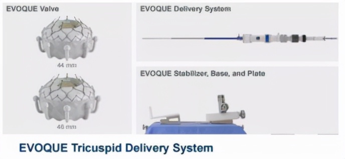 Some thoughts on Cardiovalve, Edwards, and device innovation - iMedia
