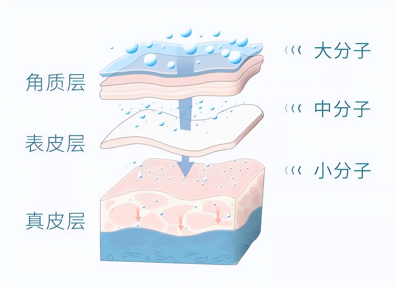 Daphlan Yingguang bottle interprets the beauty of skin's lustrous ...