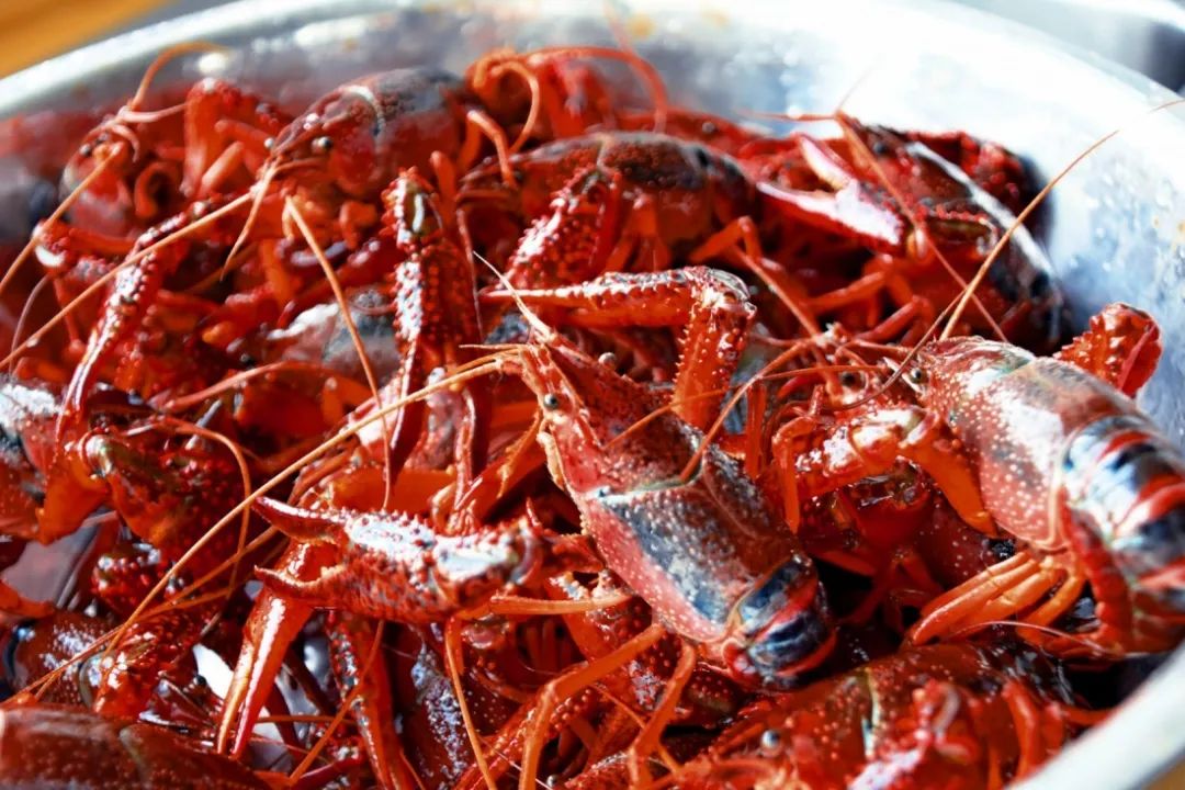 Consumption tips for eating crayfish - iMedia