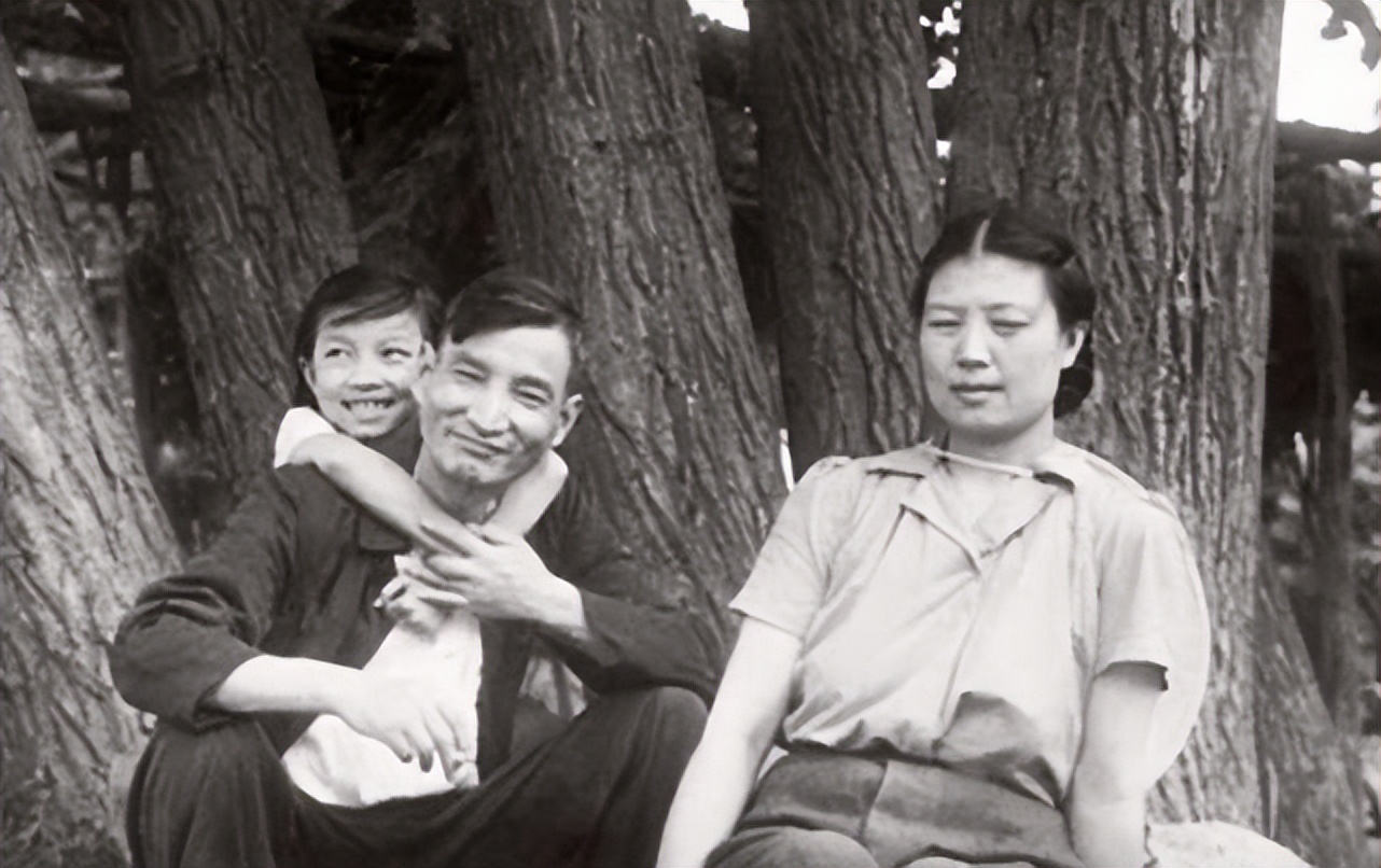 Chen Yun and his wife were attacked and devolved. After his comeback ...