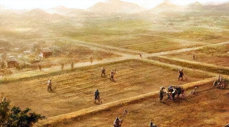 Emperor Wu of Jin implemented the land occupation system. What kind of ...