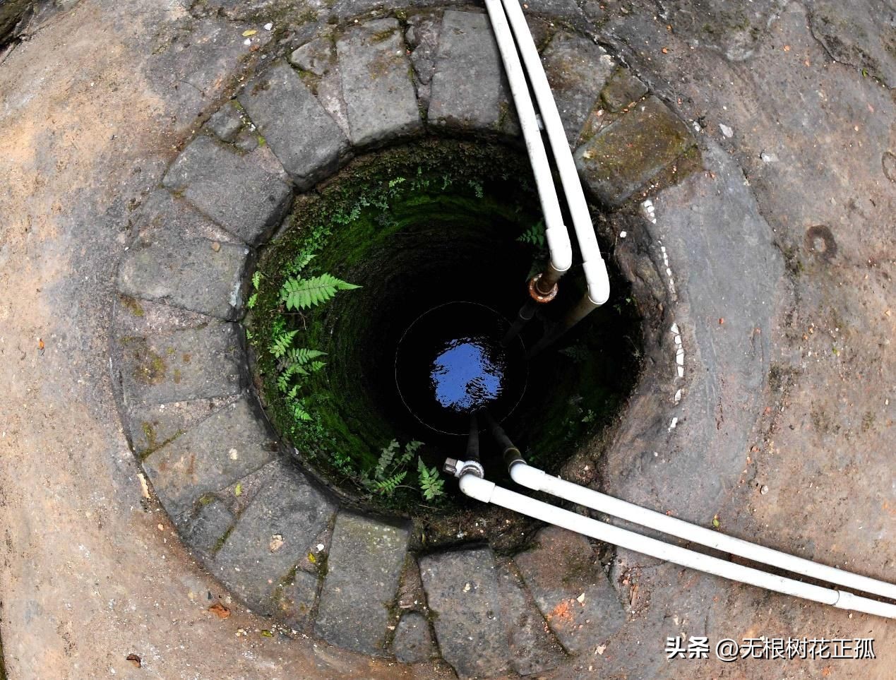 Well water is purely natural, and tap water is processed in various ...