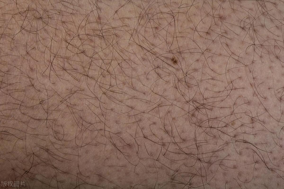 What role does private body hair play in married life? Why is it curved ...