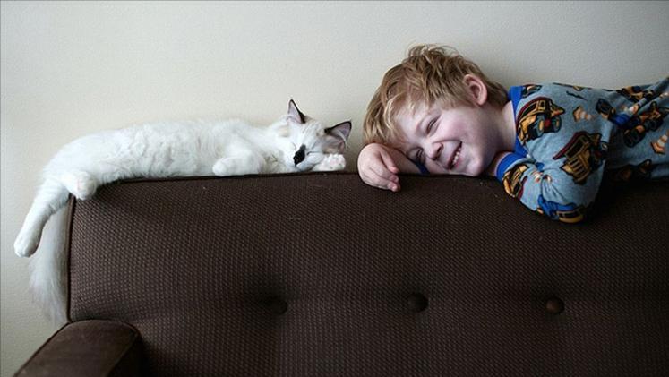 Is it good to keep a cat? Only those who have raised these 5 benefits ...