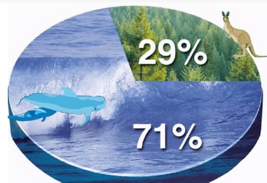 Research and development of key technologies for deep-sea lithium ...