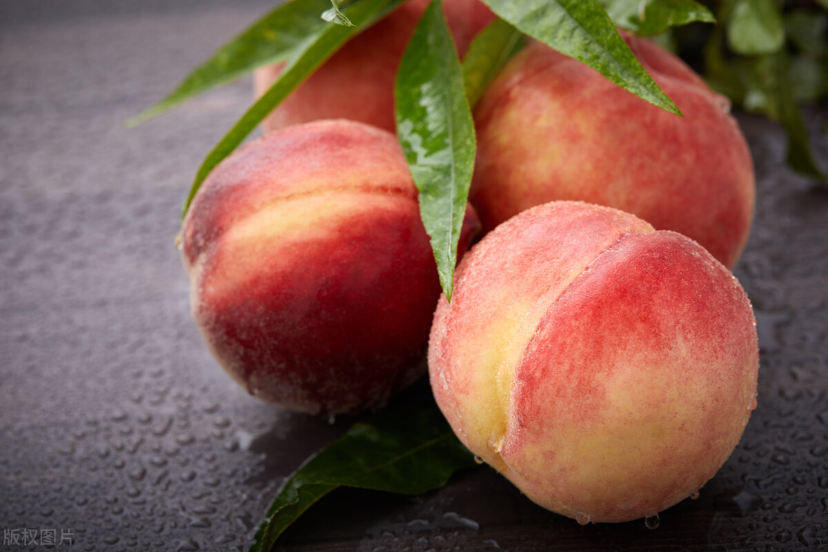 What are the synonyms and antonyms of reciprocate? - iMedia