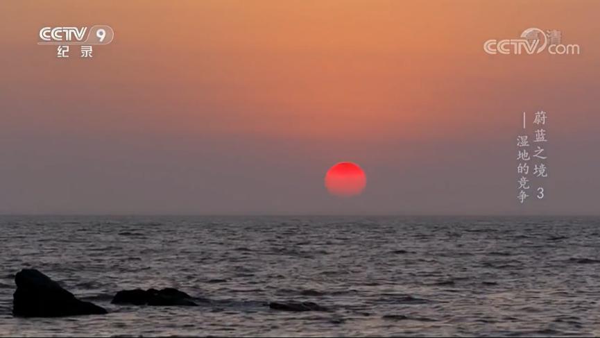 CCTV pushes super-beautiful documentary - "The Blue Realm" - iNEWS